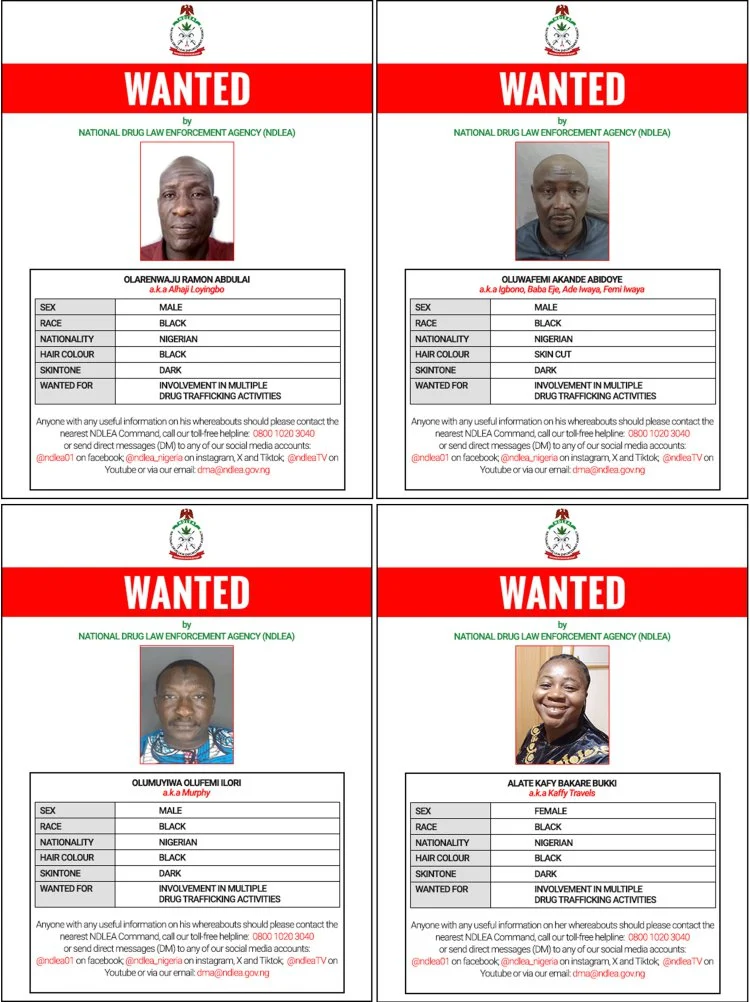 FULL LIST: NDLEA declares four Lagos-based drug traffickers wanted ...